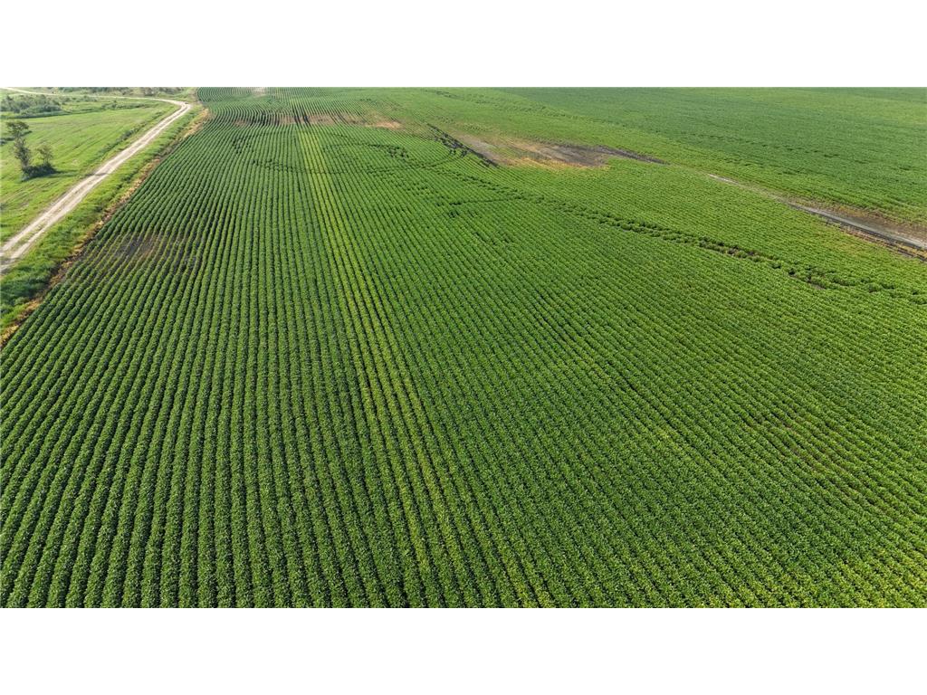 TBD County 61, Browerville, MN, 56438 | MLS: 6695793 | Edina Realty