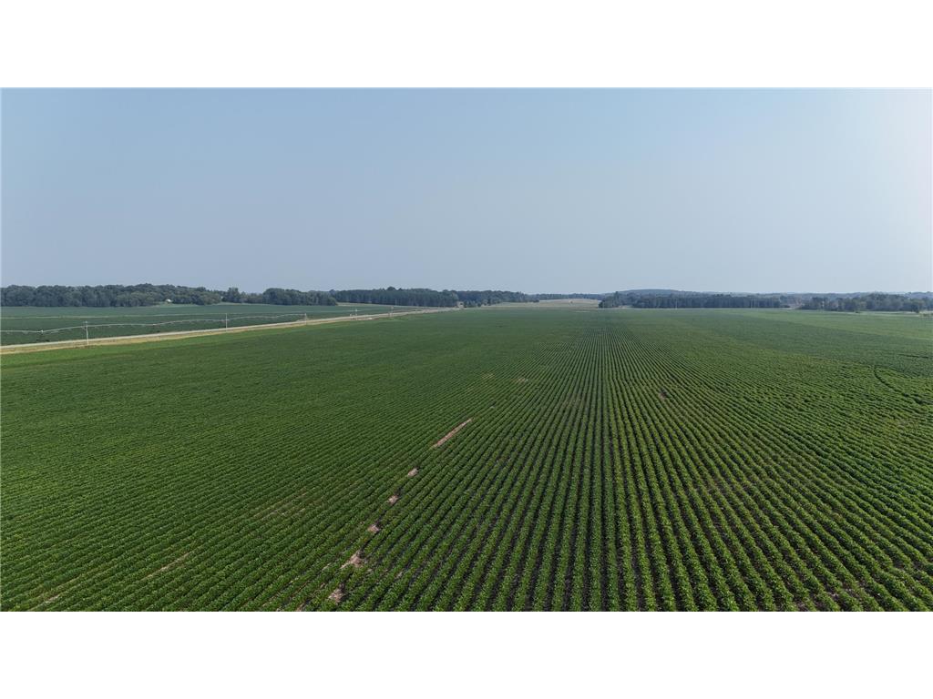 TBD County 61, Browerville, MN, 56438 | MLS: 6695793 | Edina Realty