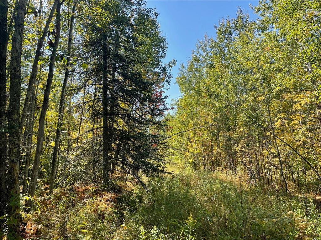 TBD County Rd 83, Greenway Twp, MN, 55775 | MLS: 6675294 | Edina Realty