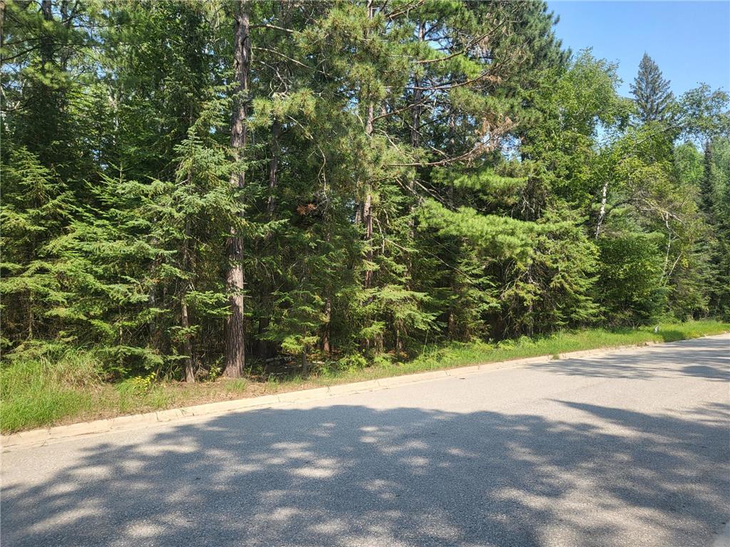 TBD County Road 138, International Falls, MN, 56649 | MLS: 6584983 ...