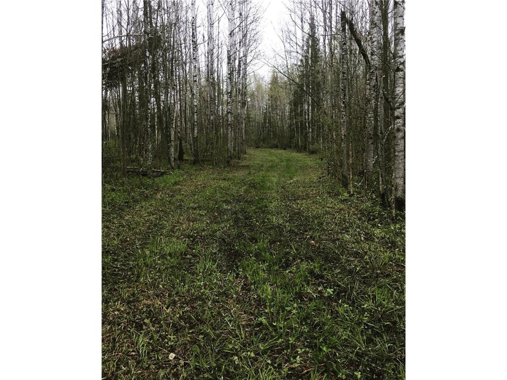 TBD County Road 14, Wirt, MN, 56628 | MLS: 6535194 | Edina Realty