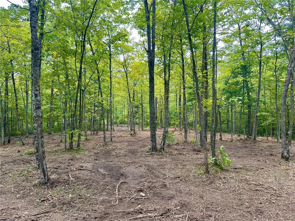 TBD County Road 157 NE, Remer, MN, 56672 | MLS: 6731611 | Edina Realty