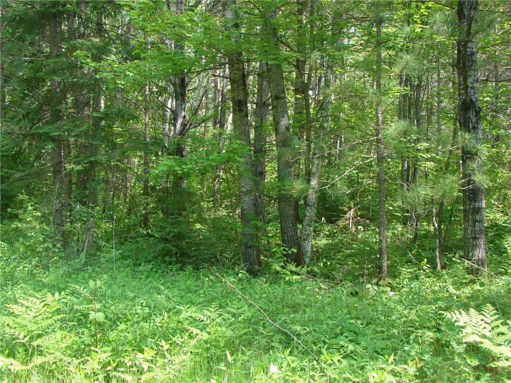 TBD Dam Road, Emily, MN, 56447 | MLS: 6731458 | Edina Realty
