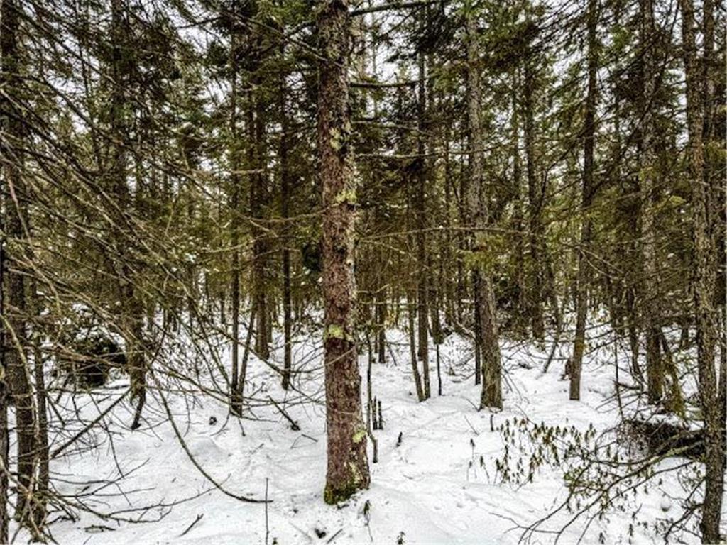 TBD E Four Corners Road, Cromwell, MN, 55726 | MLS: 6479331 | Edina Realty