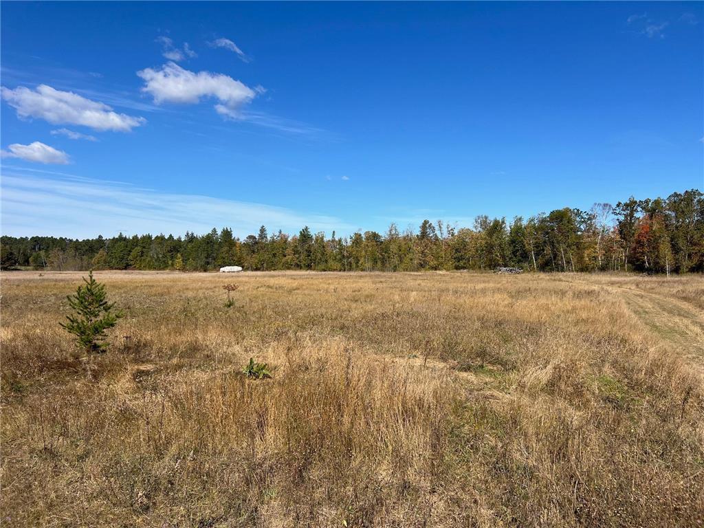 TBD Lamon Road NE, Turtle River, MN, 56601 | MLS: 6610688 | Edina Realty