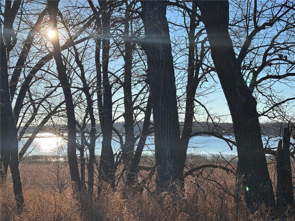 TBD Leaf River Road, Leaf Lake Twp, MN, 56571 | MLS: 6816900 | Edina Realty