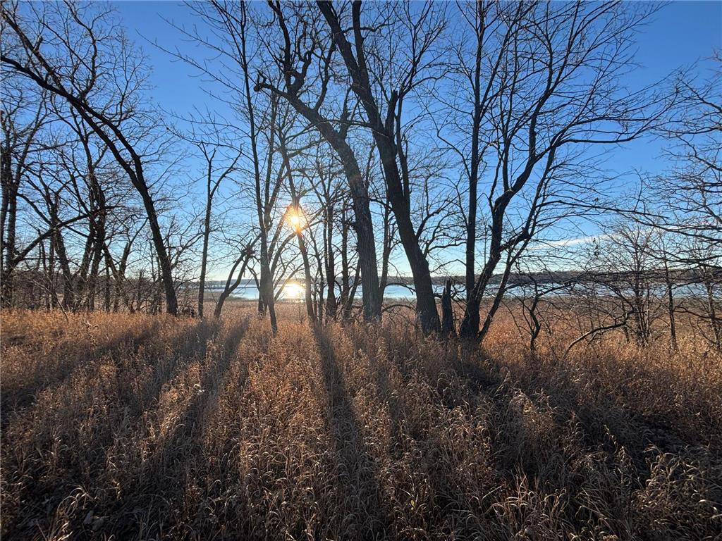 TBD Leaf River Road, Leaf Lake Twp, MN, 56571 | MLS: 6816900 | Edina Realty