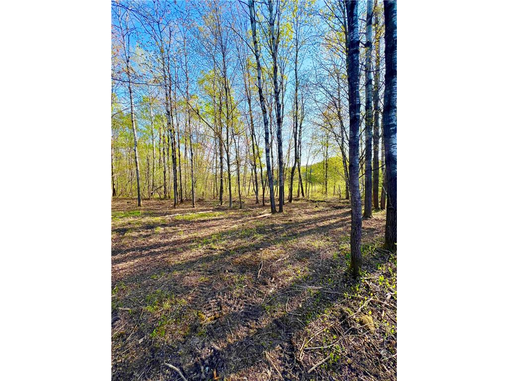 TBD Mallard Place, Sandstone, MN, 55072 | MLS: 6720113 | Edina Realty