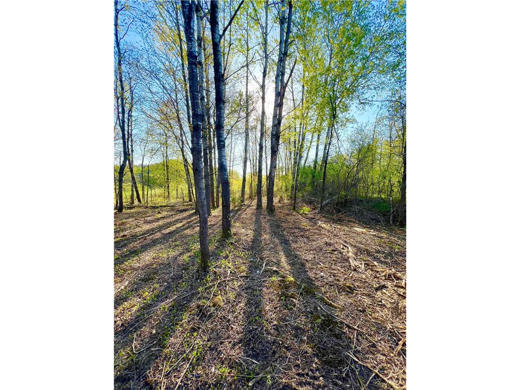 TBD Mallard Place, Sandstone, MN, 55072 | MLS: 6720113 | Edina Realty