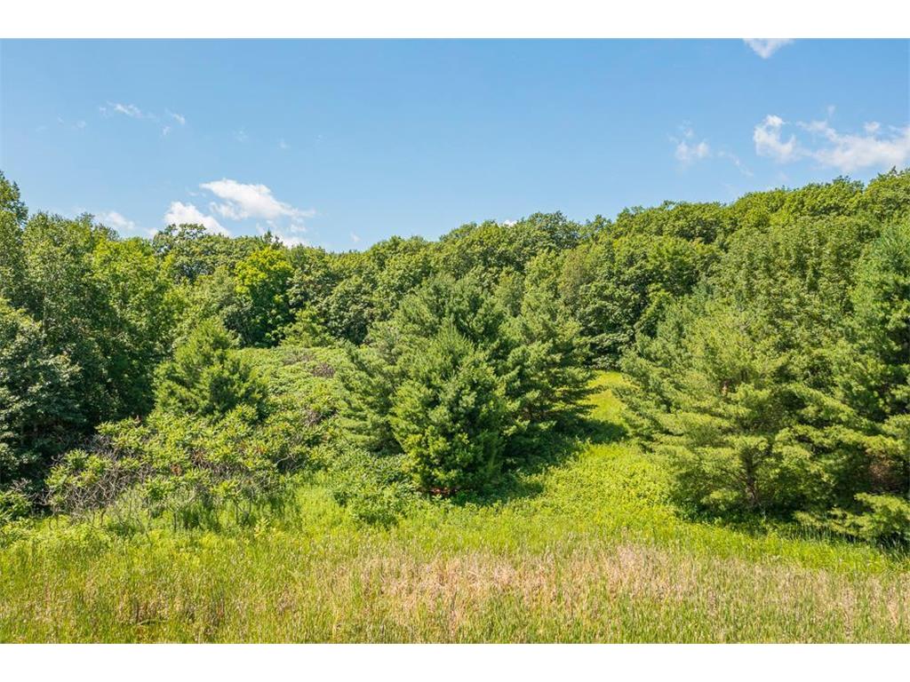 TBD Maple Lane, Bay Lake Twp, MN, 56444 | MLS: 6569231 | Edina Realty