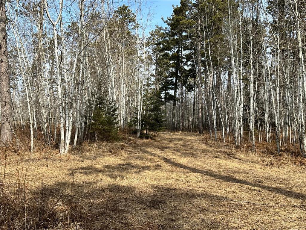 TBD Nebish Road NE, Tenstrike, MN, 56683 | MLS: 6685864 | Edina Realty