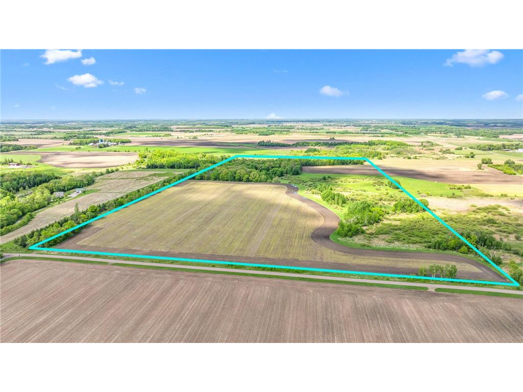 TBD-PID 04.00106.00 155th Street NE, Rice, MN, 56367 | MLS: 6722244 ...