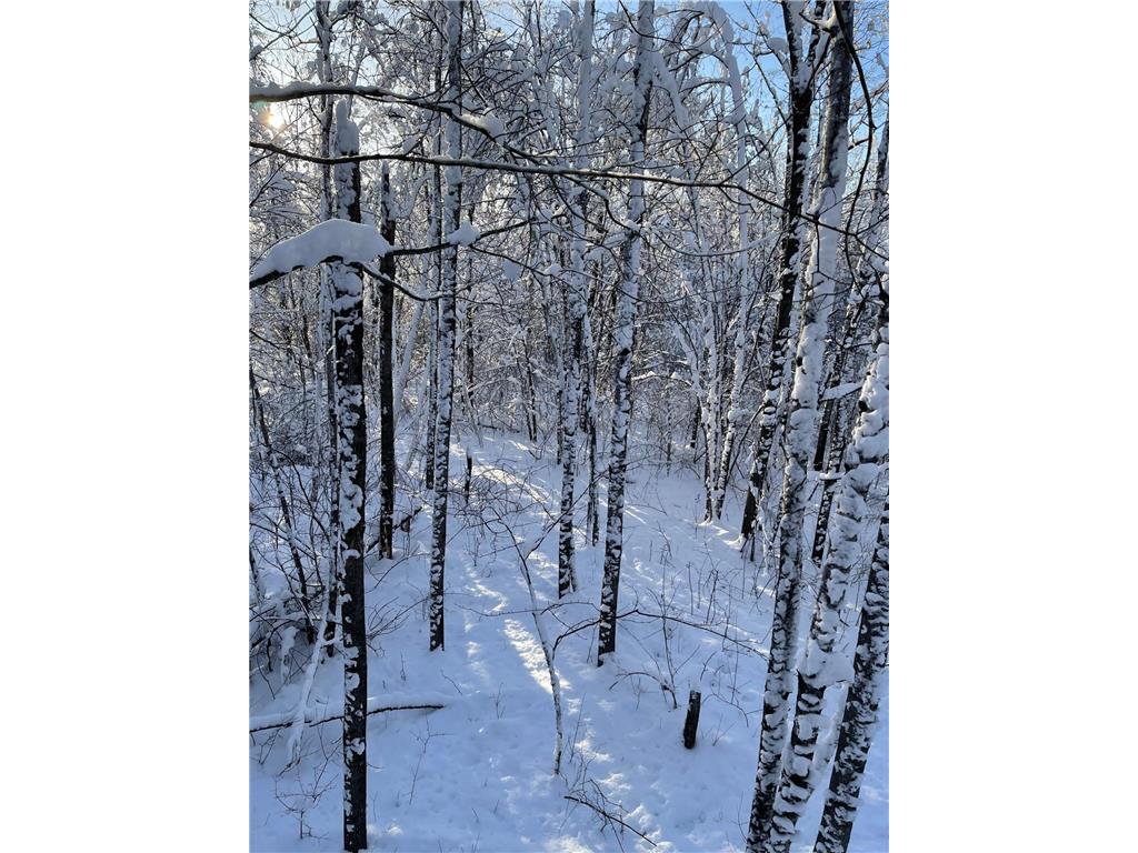 TBD Partridge Dr, Partridge Twp, MN, 55704 | MLS: 6314892 | Edina Realty