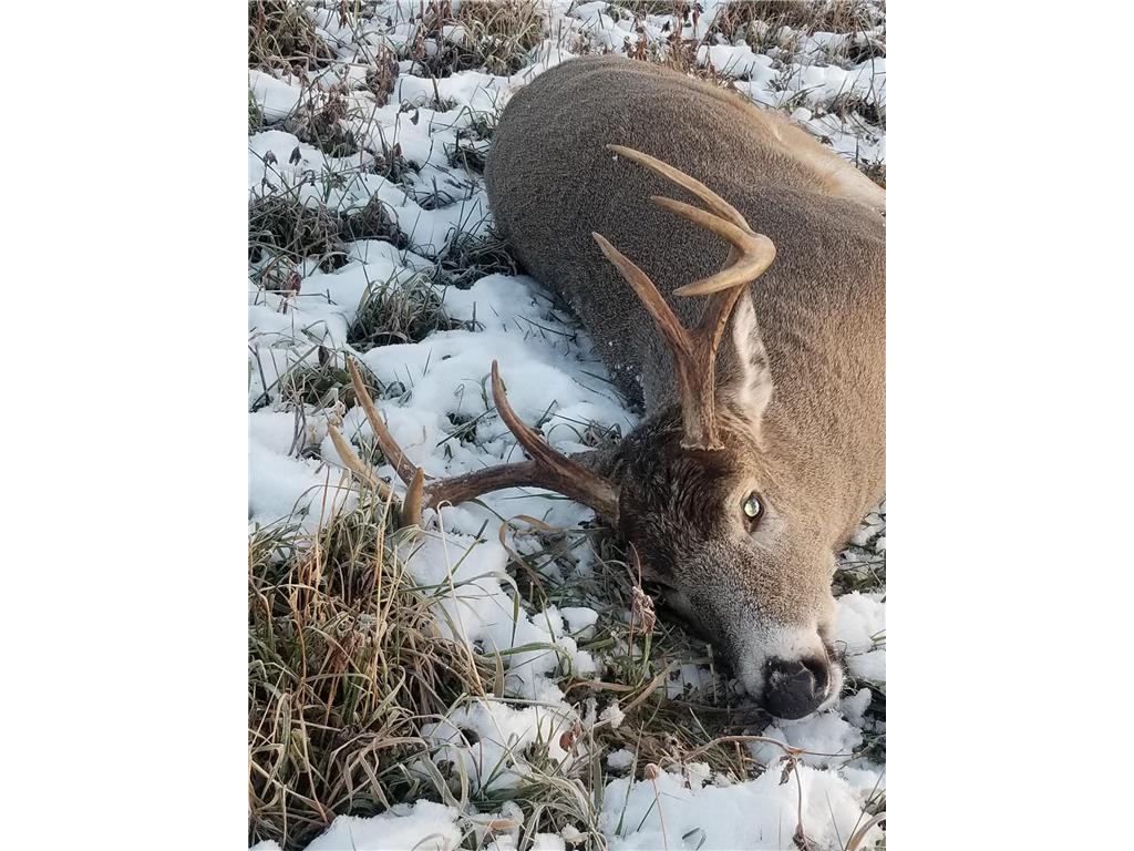 TBD Partridge Drive, Askov, MN, 55704 | MLS: 6688942 | Edina Realty