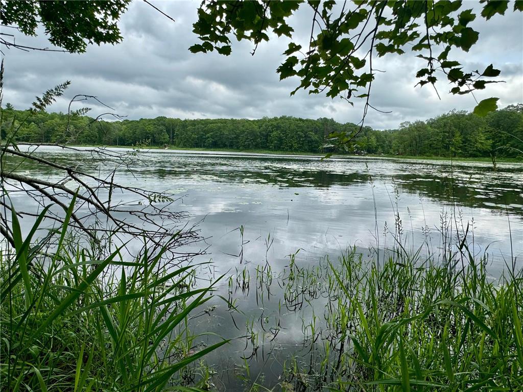 TBD Red Stone Drive, Cushing, MN, 56443 | MLS: 6555527 | Edina Realty