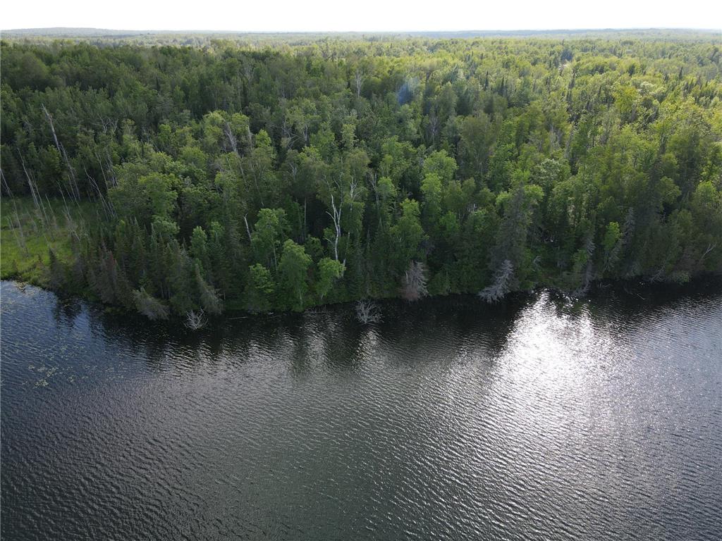 TBD W North Star Lake Road, Marcell, MN, 56657 | MLS: 6259367 | Edina ...