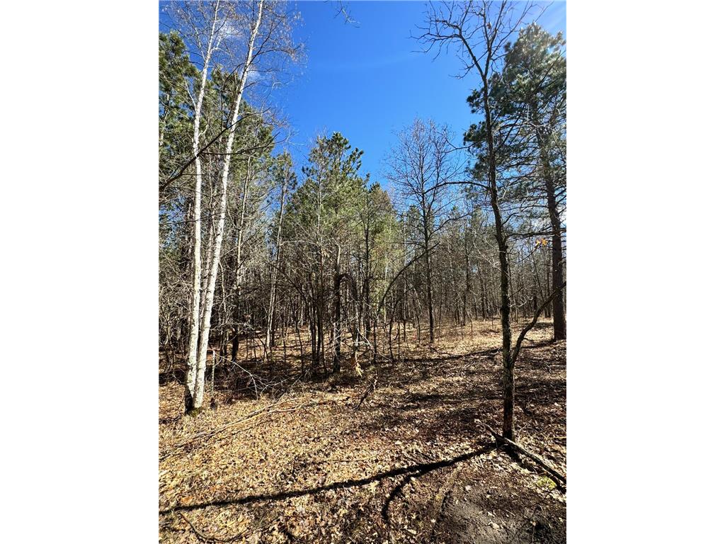 Tract 2 County 13, Nevis, MN, 56467 | MLS: 6530431 | Edina Realty