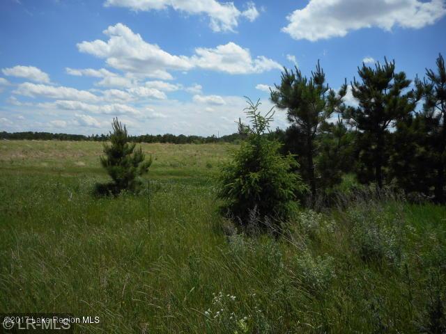 Turtle Bay Development #32, 425th Avenue, Perham, MN, 56573 | MLS ...
