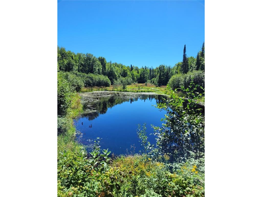 W5XXX Happy Acres Road, Tony, WI, 54563 | MLS: 6257140 | Edina Realty