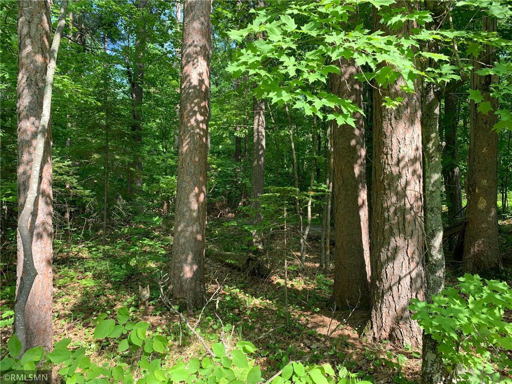 XXX 189th Avenue, Mcgregor, MN, 55760 | MLS: 6381867 | Edina Realty