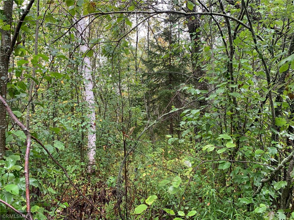 XXX 240th Avenue, Jacobson, MN, 55752 | MLS: 6438097 | Edina Realty