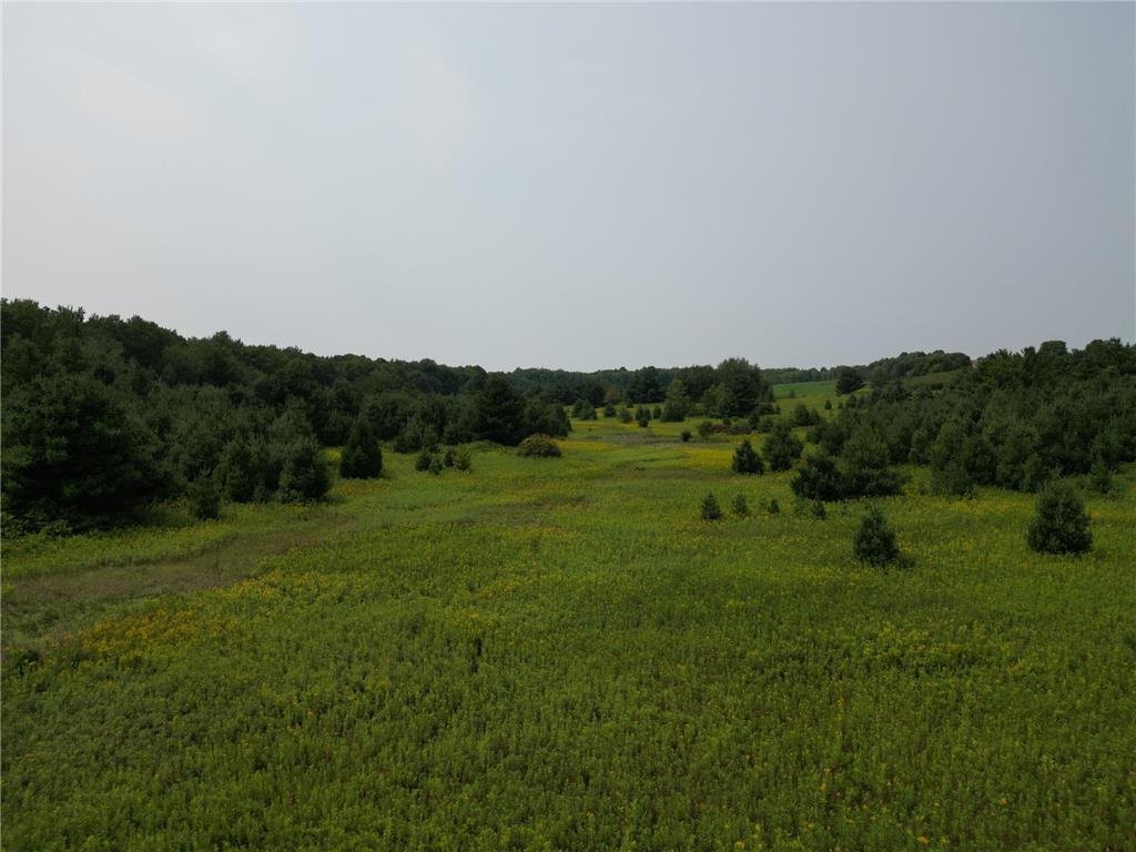 XXX 325th Street, Cady Twp, WI, 54749 | MLS: 6422561 | Edina Realty