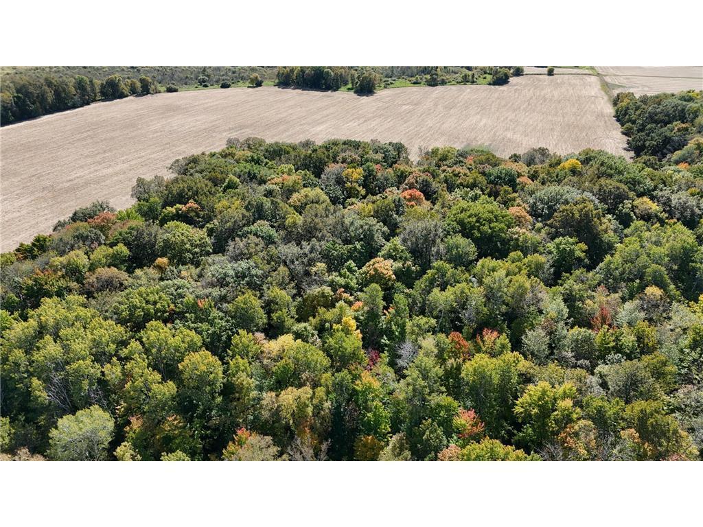 XXX 373rd Avenue NW, Princeton, MN, 55371 | MLS: 6639718 | Edina Realty