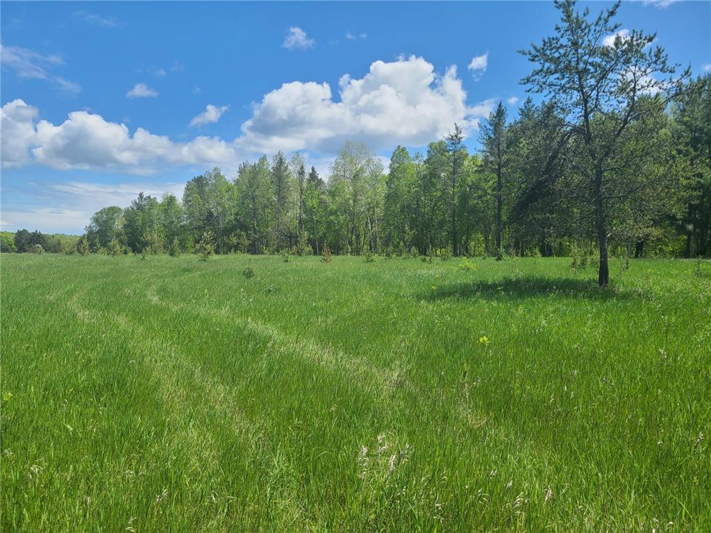 XXX Arrowhead Drive, Pine River, MN, 56474 | MLS: 6490072 | Edina Realty