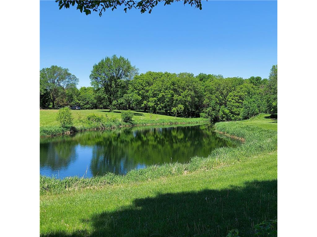 XXX Cottonwood Street S, Revere, MN, 56166 | MLS: 6259698 | Edina Realty