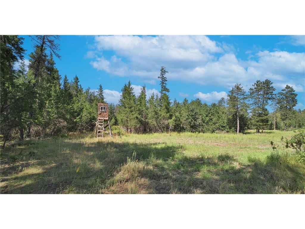 XXX County 7 Road, Staples, MN, 56482 | MLS: 6579172 | Edina Realty