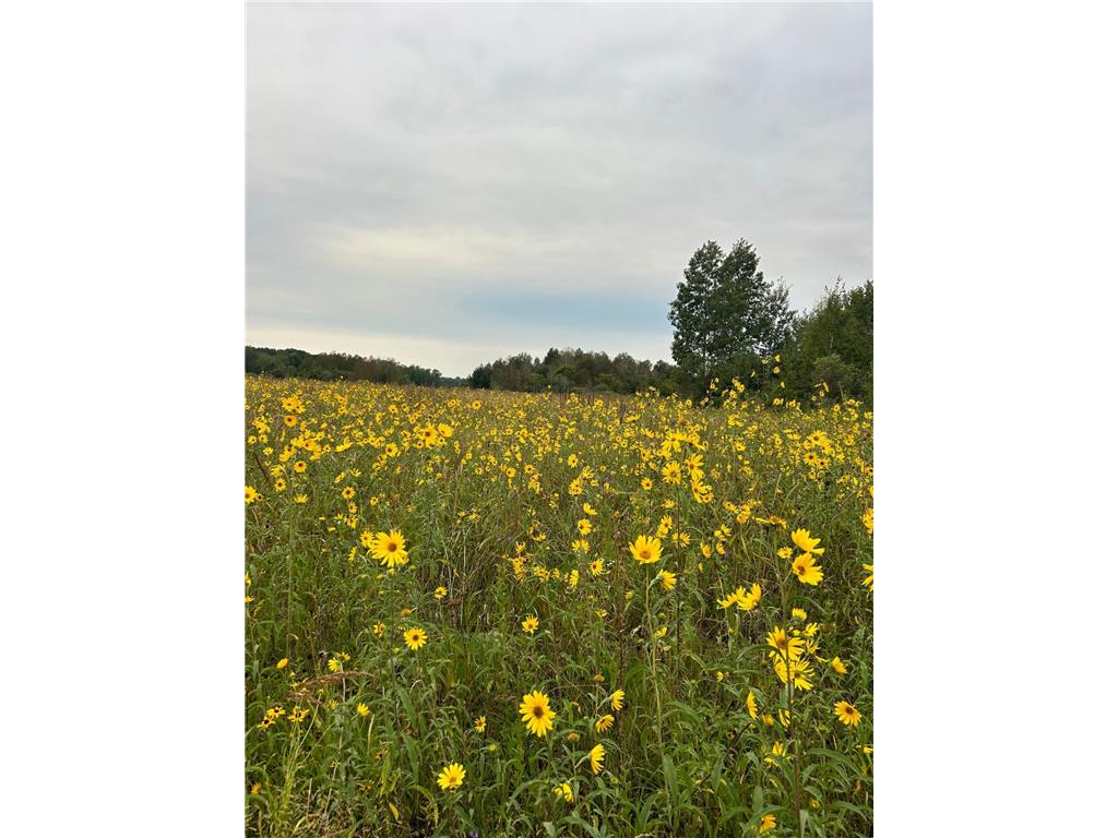 XXX County Road 66, Staples, MN, 56479 | MLS: 6675644 | Edina Realty