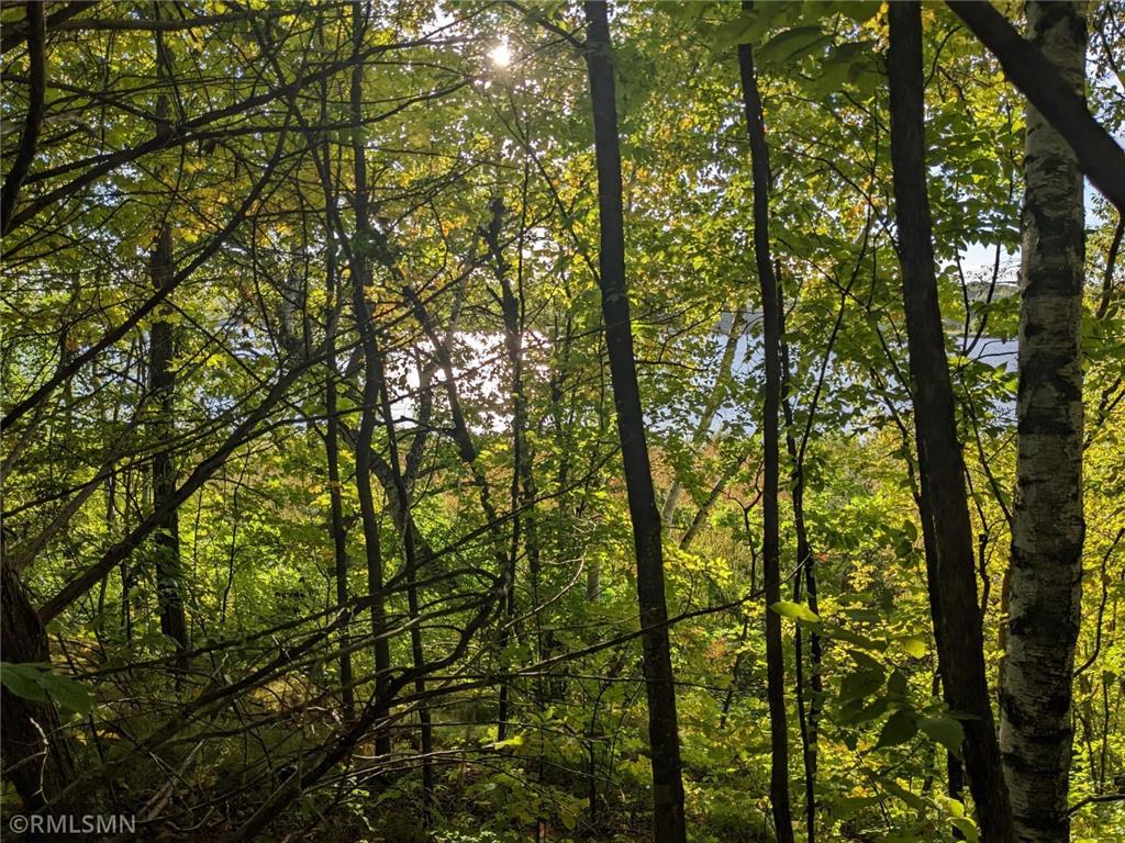 XXX Empire Trail, Burtrum, MN, 56318 | MLS: 6271431 | Edina Realty