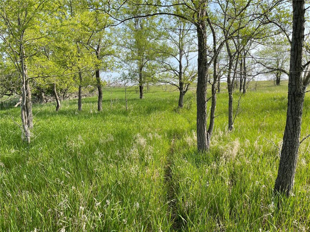 XXX HWY 29, De Graff, MN, 56265 | MLS: 6348034 | Edina Realty