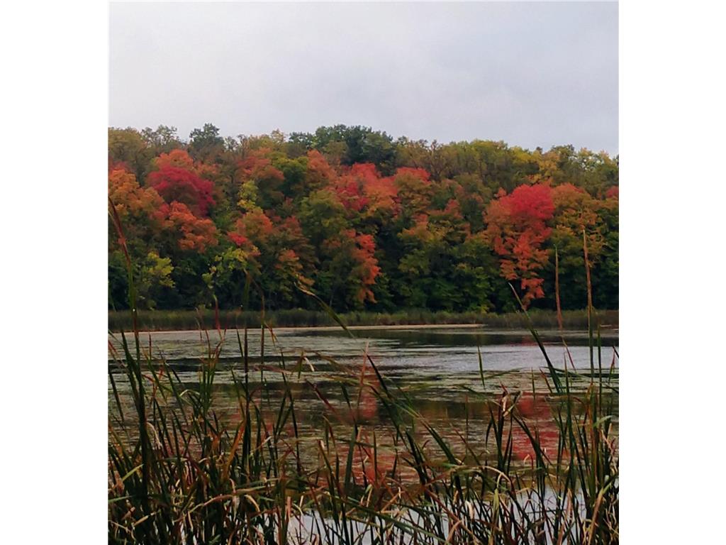 XXX Maple Island Drive SE, Glenwood, MN, 56334 | MLS: 6429787 | Edina ...