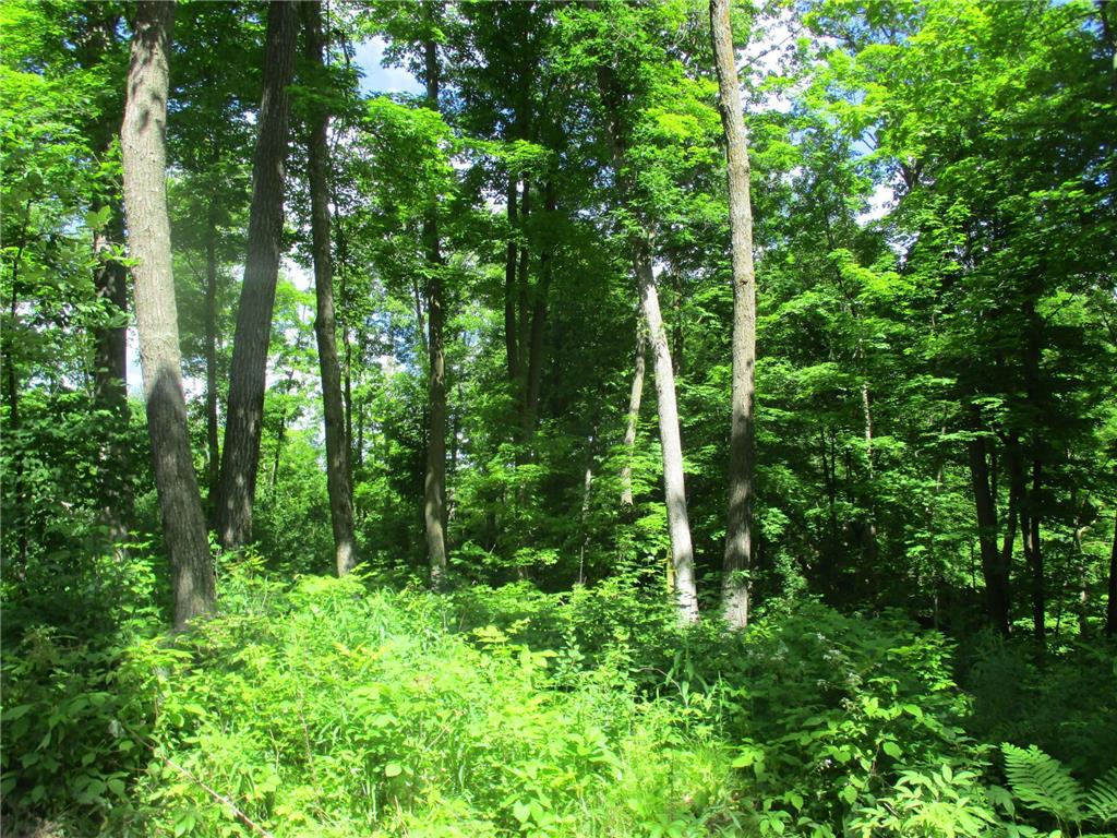 XXXX W Bass Lake Lane, Luck, WI, 54853 | MLS: 6561760 | Edina Realty