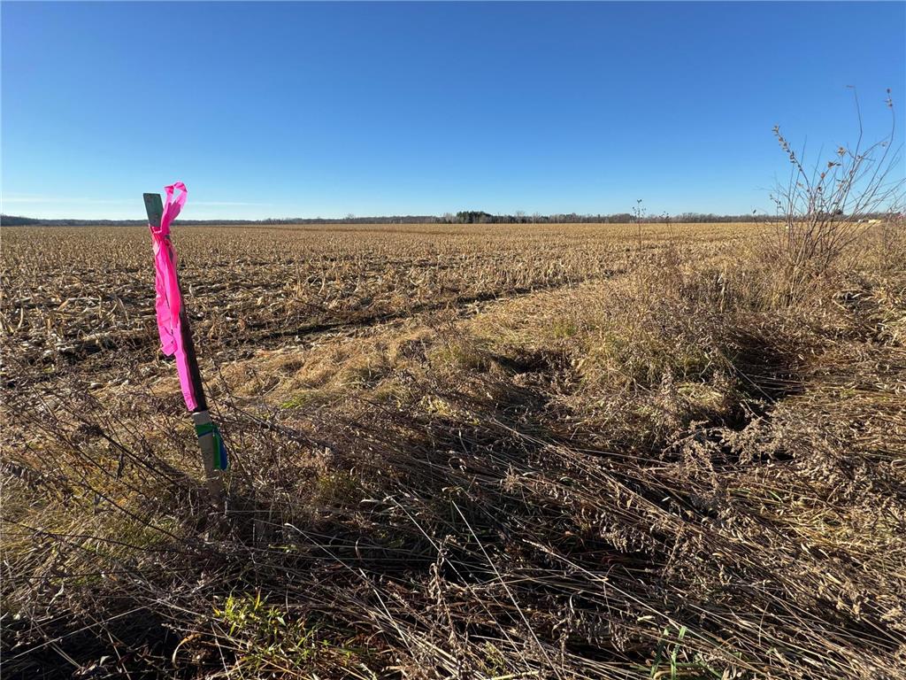 XXXXX 110th (Parcel B) Street, Milaca, MN, 56353 | MLS: 6570639 | Edina ...