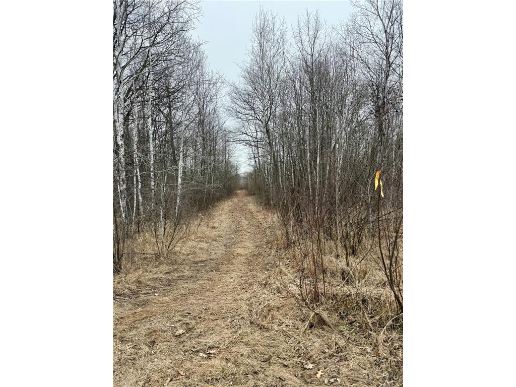 XYZ Hammond Road, Finlayson Twp, MN, 55735 | MLS: 6697933 | Edina Realty