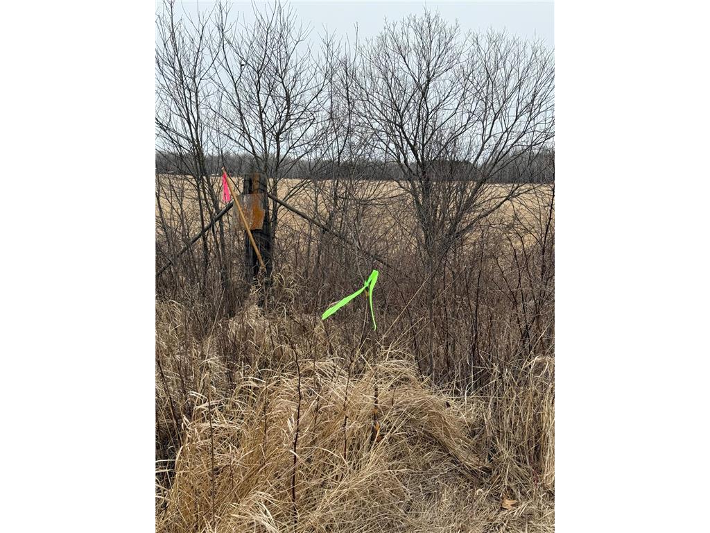 XYZ Hammond Road, Finlayson Twp, MN, 55735 | MLS: 6697933 | Edina Realty