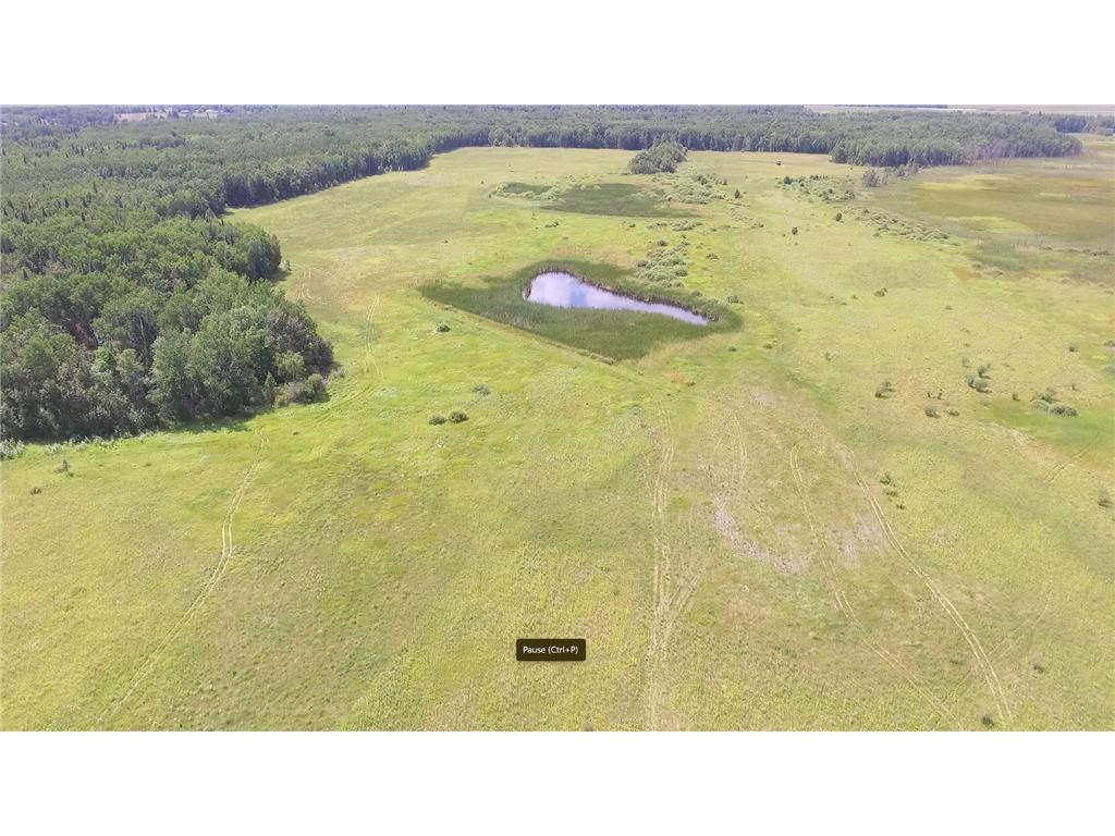 Xxx 530th, Menahga, MN, 56464 | MLS: 6388619 | Edina Realty