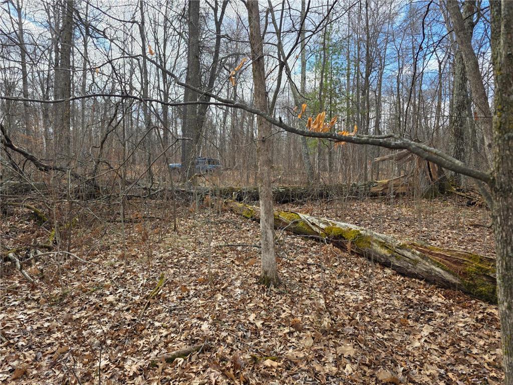 xxxx Jengeough Road, Riverton, MN, 56455 | MLS: 6706807 | Edina Realty