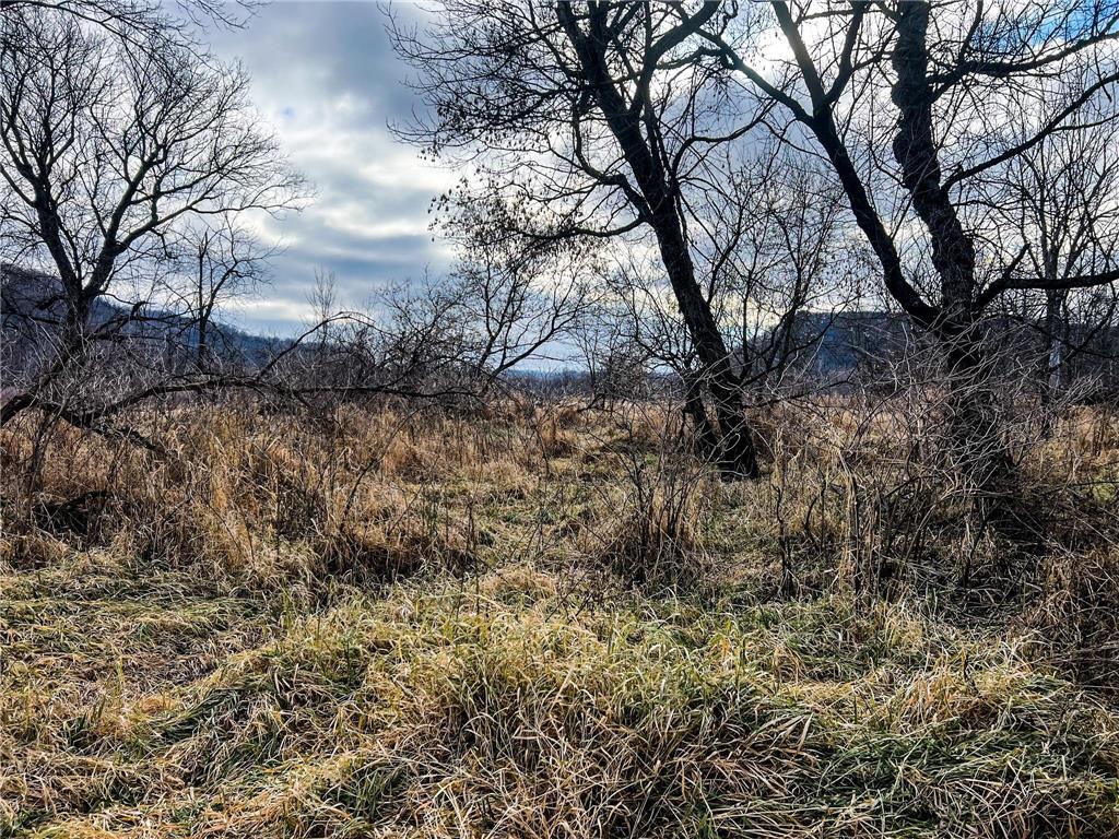 xxxx N County Road 11, Millville, MN, 55957 | MLS: 6638717 | Edina Realty