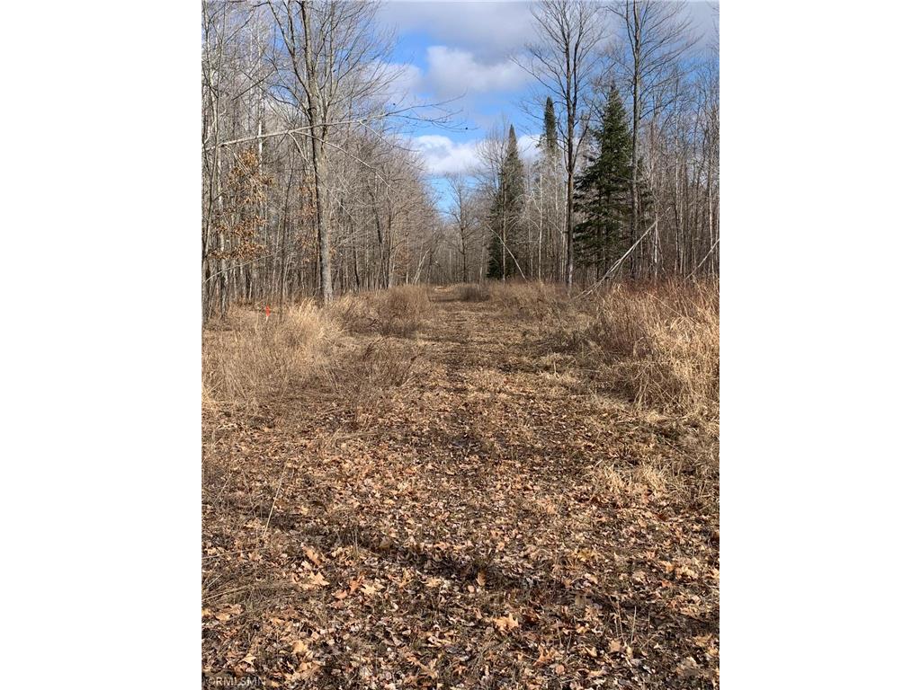 xxxx Skyview Street, Brook Park, MN, 55007 | MLS: 6501410 | Edina Realty