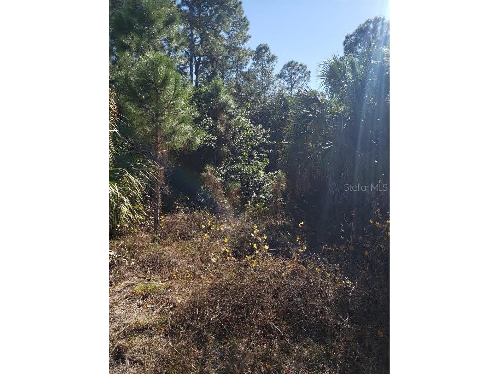 Athena Terrace, North Port, FL, 34286 | MLS: C7479215 | Edina Realty