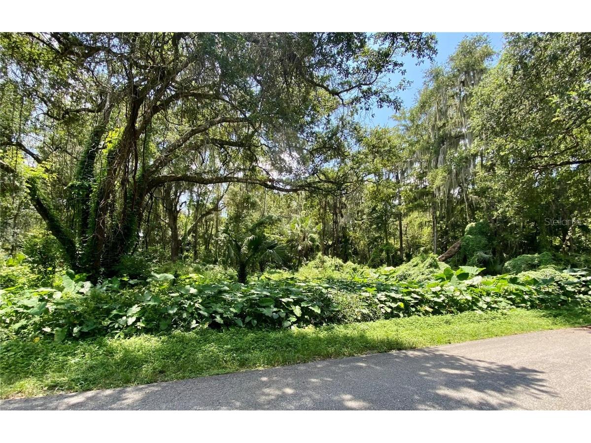 Cr 401c, Lake Panasoffkee, FL, 33538 | MLS: G5085932 | Edina Realty