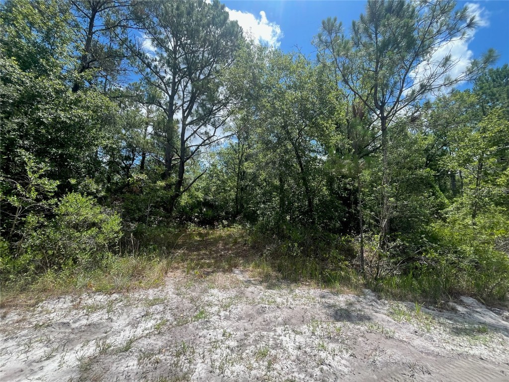 Division Street #50, Hastings, FL, 32145 | MLS: OK224132 | Edina Realty