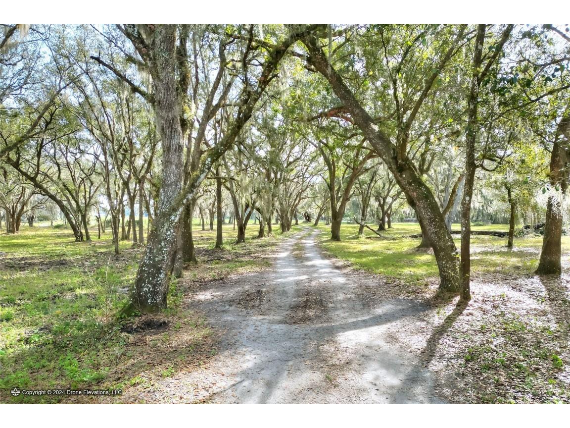 , Dover, FL, 33527 | MLS: T3501205 | Edina Realty