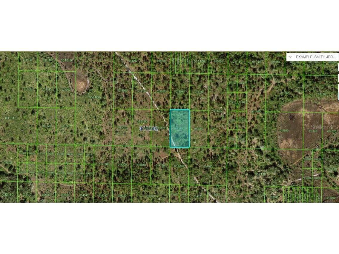 Kicco Road, Frostproof, FL, 33843 | MLS: O6229092 | Edina Realty