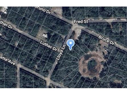 Lloyd Drive, Interlachen, FL, 32148 | MLS: OM697121 | Edina Realty