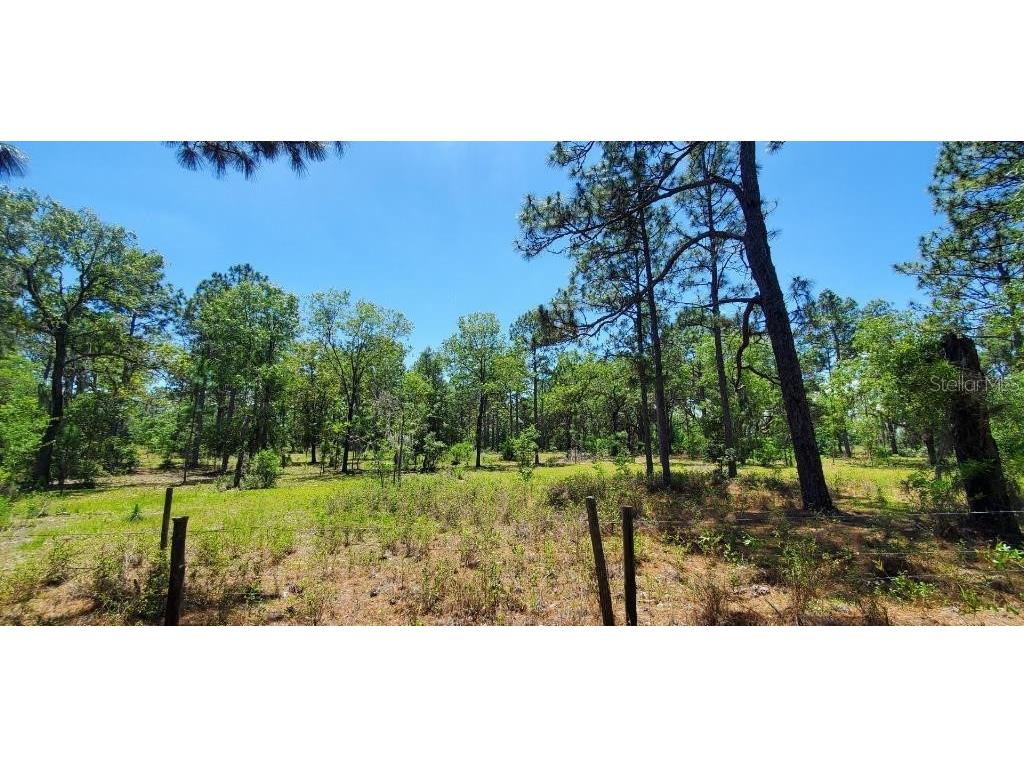 Lots 18 19 Sw Tiger Lake Boulevard, Dunnellon, FL, 34431 | MLS ...