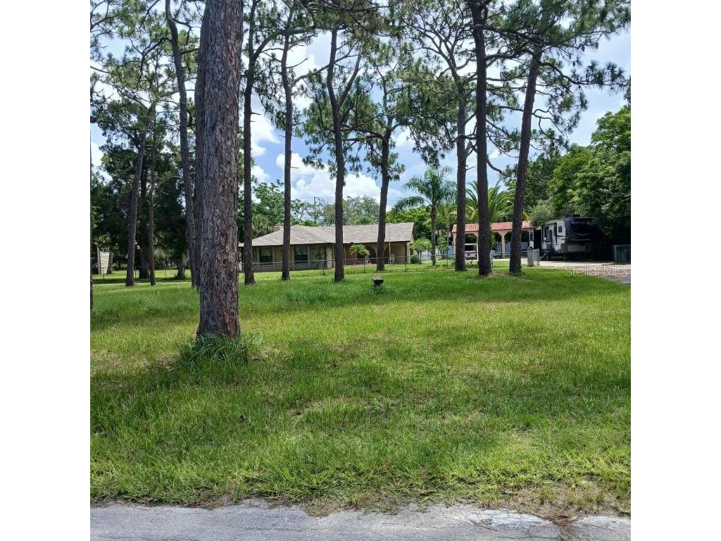 Lyle Circle, Hudson, FL, 34667 | MLS: W7877059 | Edina Realty